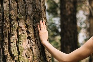 The History of Common Superstitions - the history of the